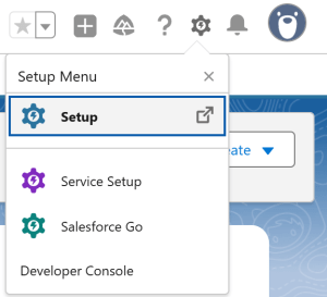 Custom Objects in Salesforce: Step-by-Step Guide – Umesh Chandra